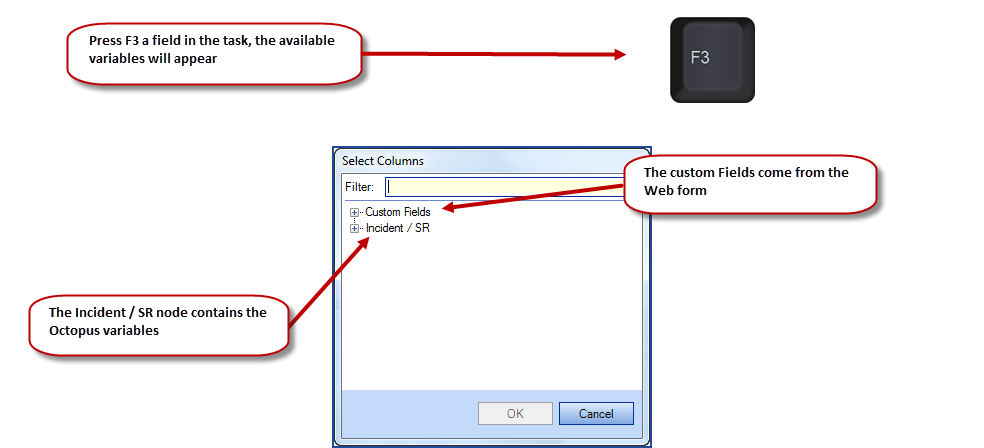 Advanced Task Configuration | Doc - Octopus